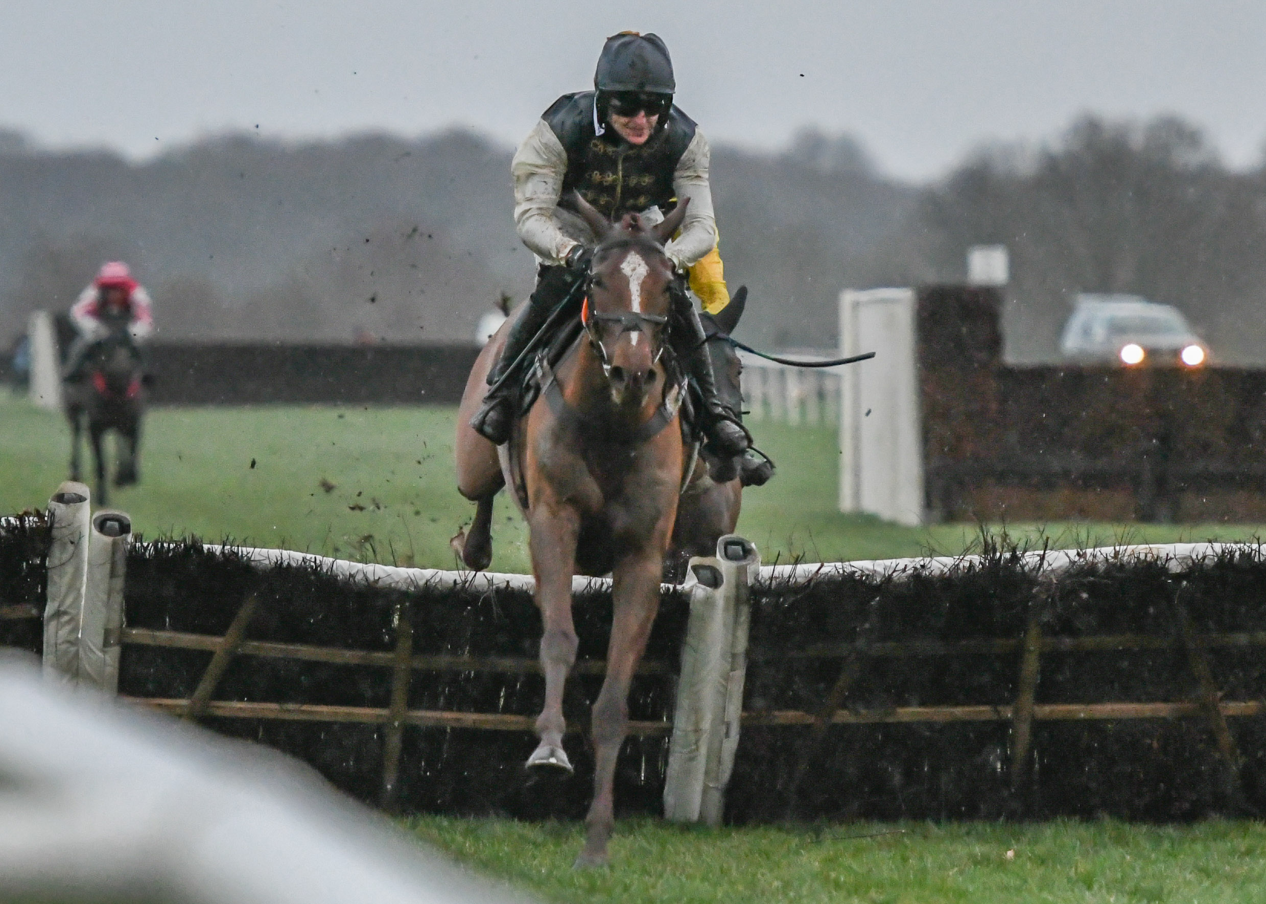 REWIRED Returns with a Bang - Opulence Thoroughbreds